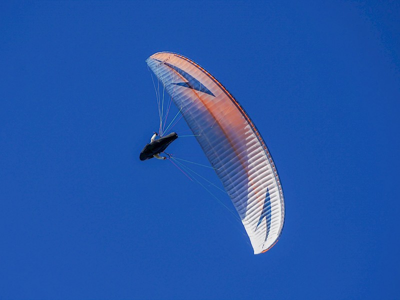 Swing Paragliders availbable for beginner or hardened XC hound. Swing ...